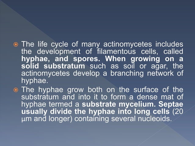 morphology & structure of spirochete, fungi & protozoa | PPT ...