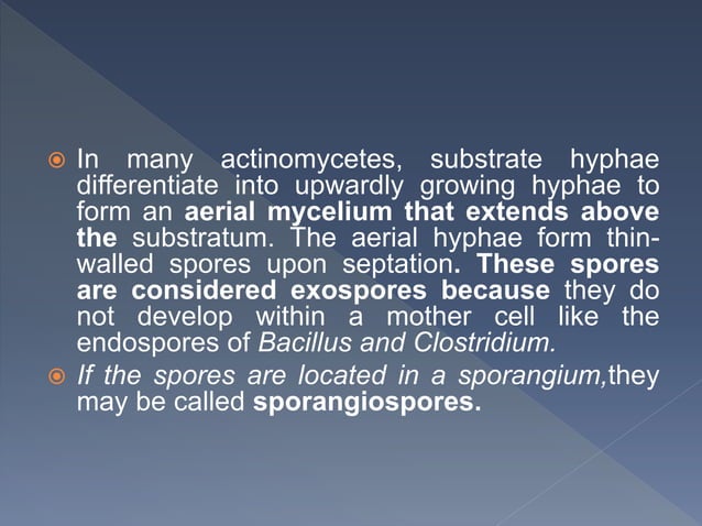 morphology & structure of spirochete, fungi & protozoa | PPT ...