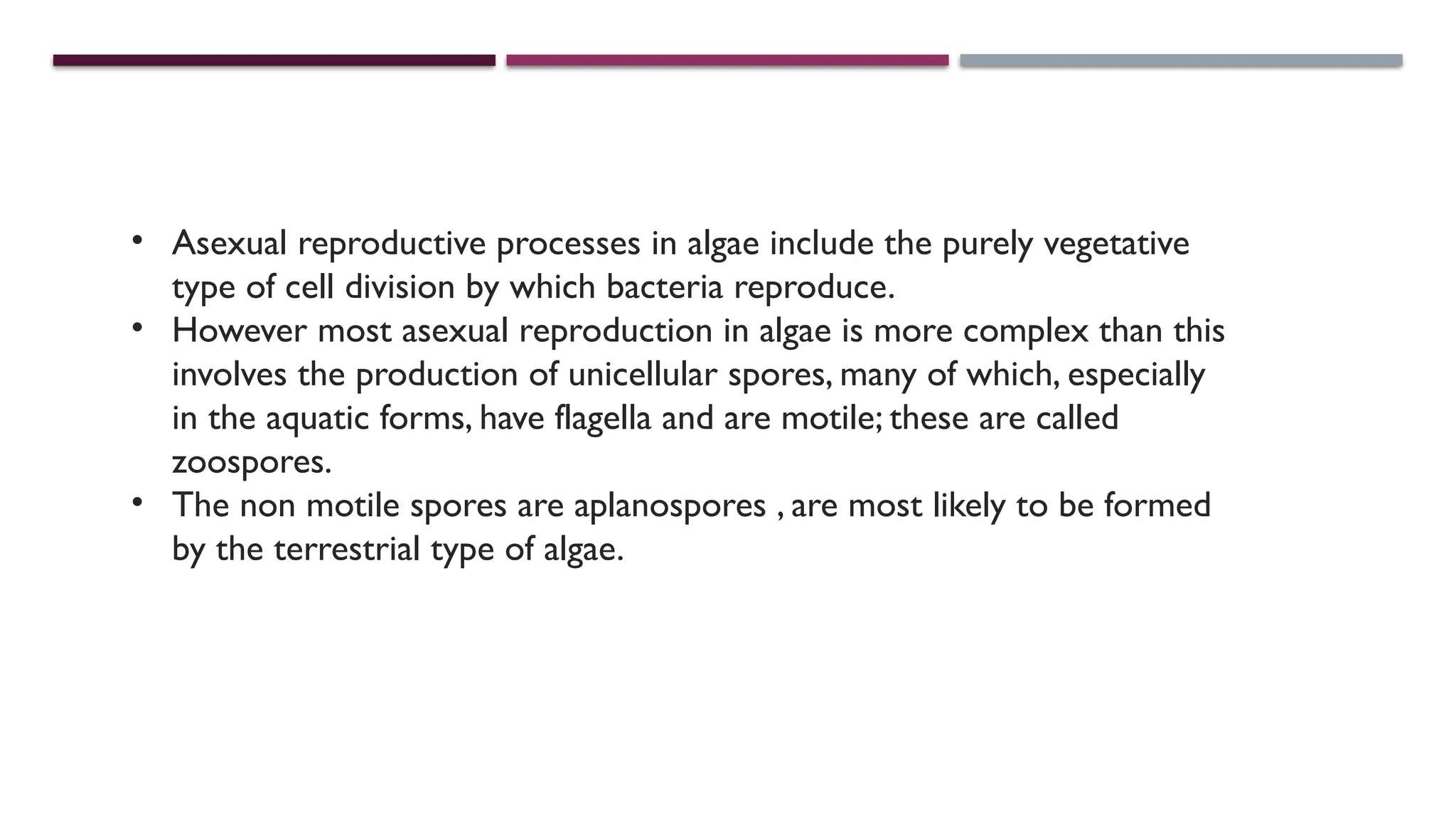 Morphology structure and function of algae.pptx