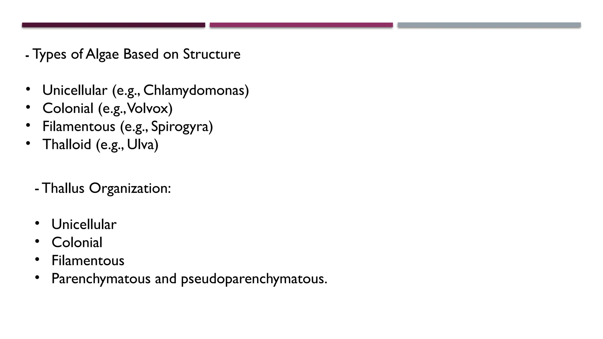 Morphology structure and function of algae.pptx