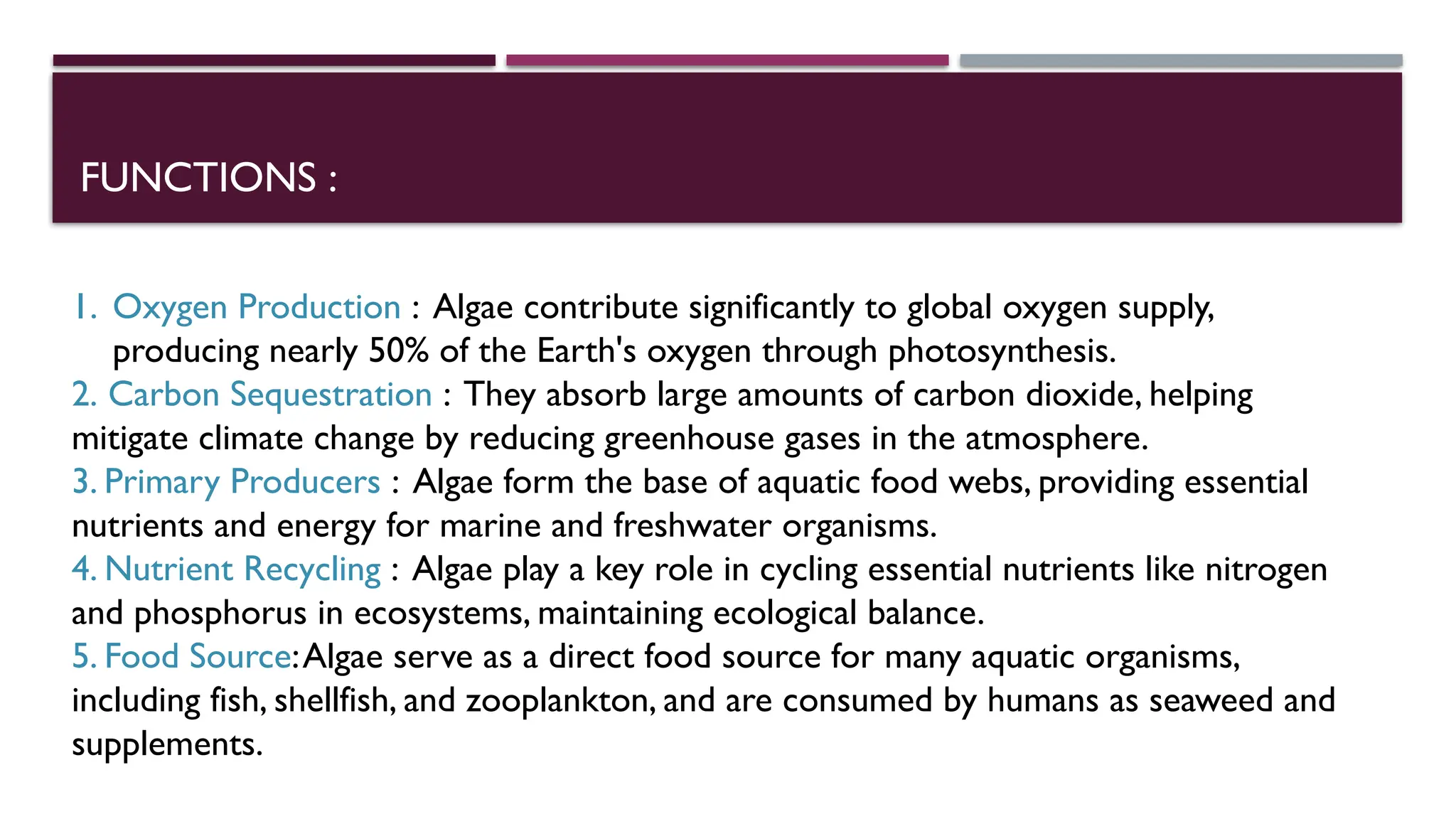 Morphology structure and function of algae.pptx