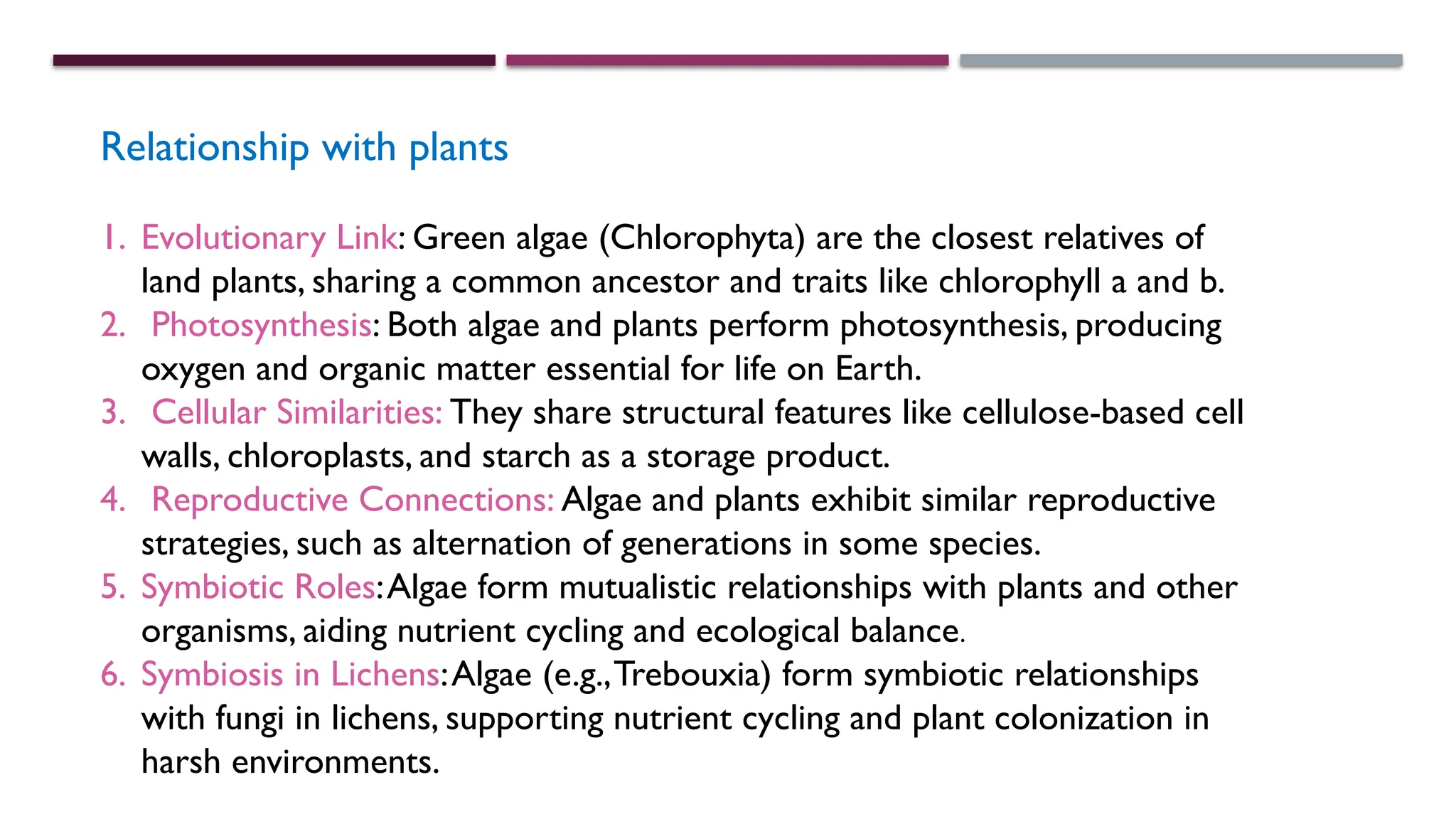 Morphology structure and function of algae.pptx