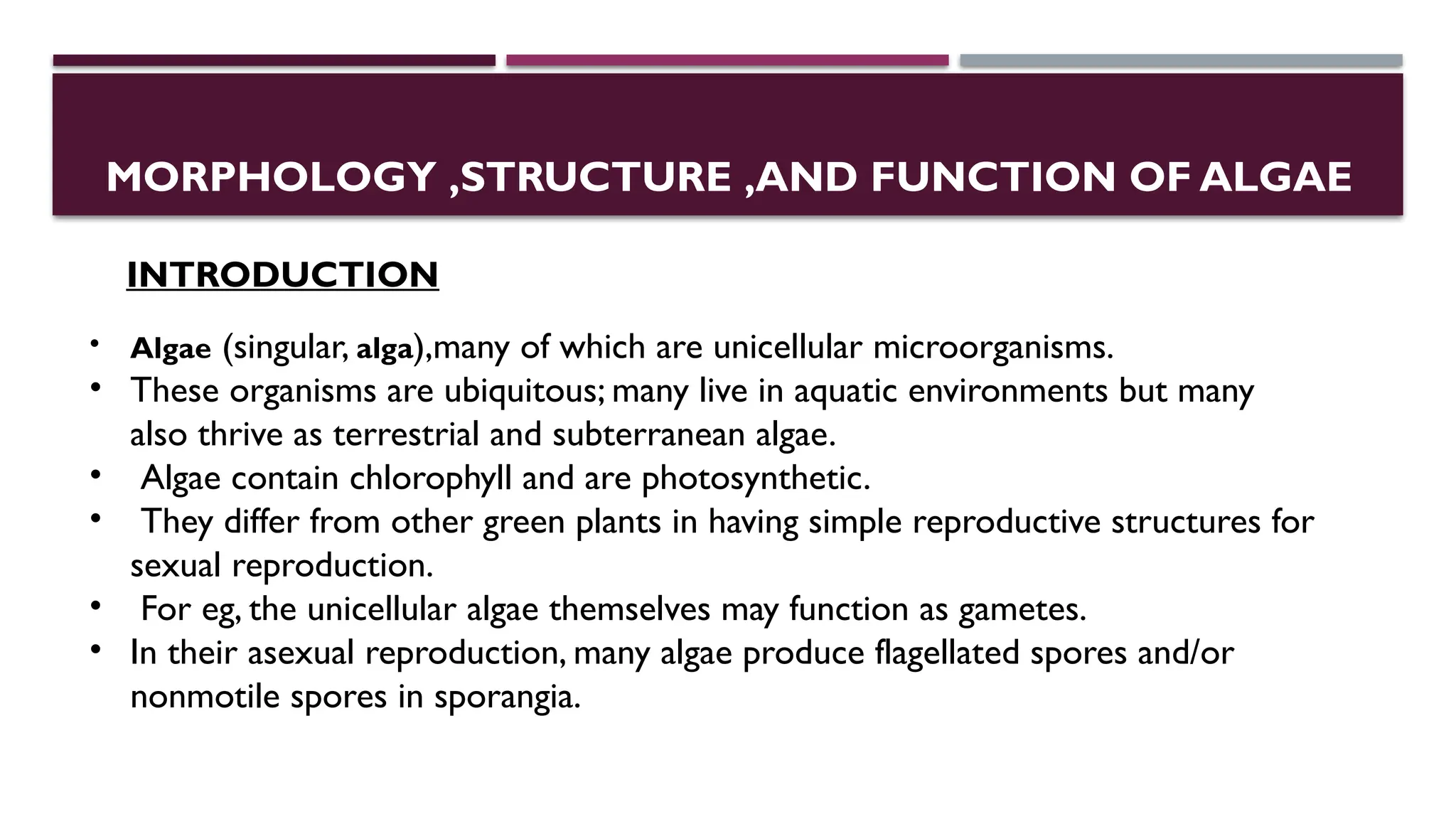 Morphology structure and function of algae.pptx