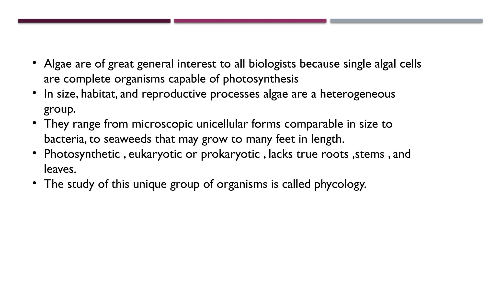 Morphology structure and function of algae.pptx