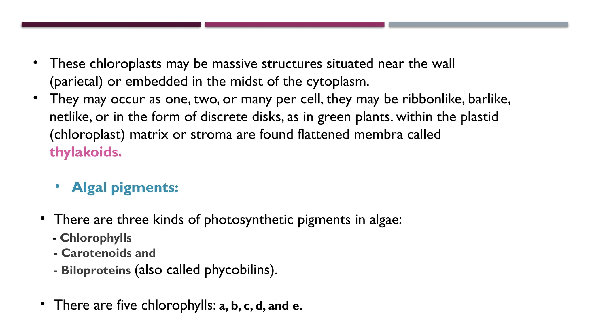 Morphology structure and function of algae.pptx