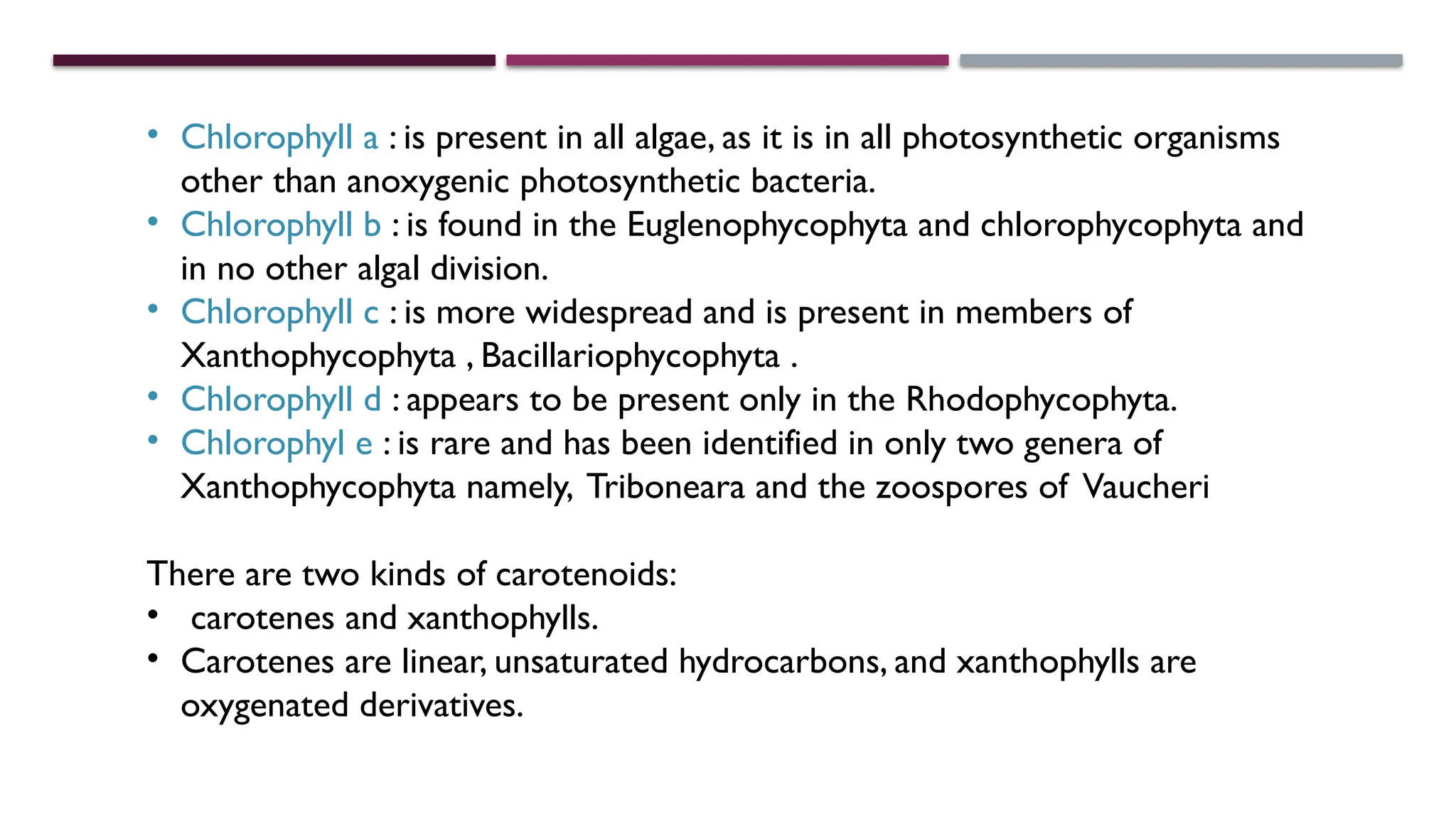 Morphology structure and function of algae.pptx