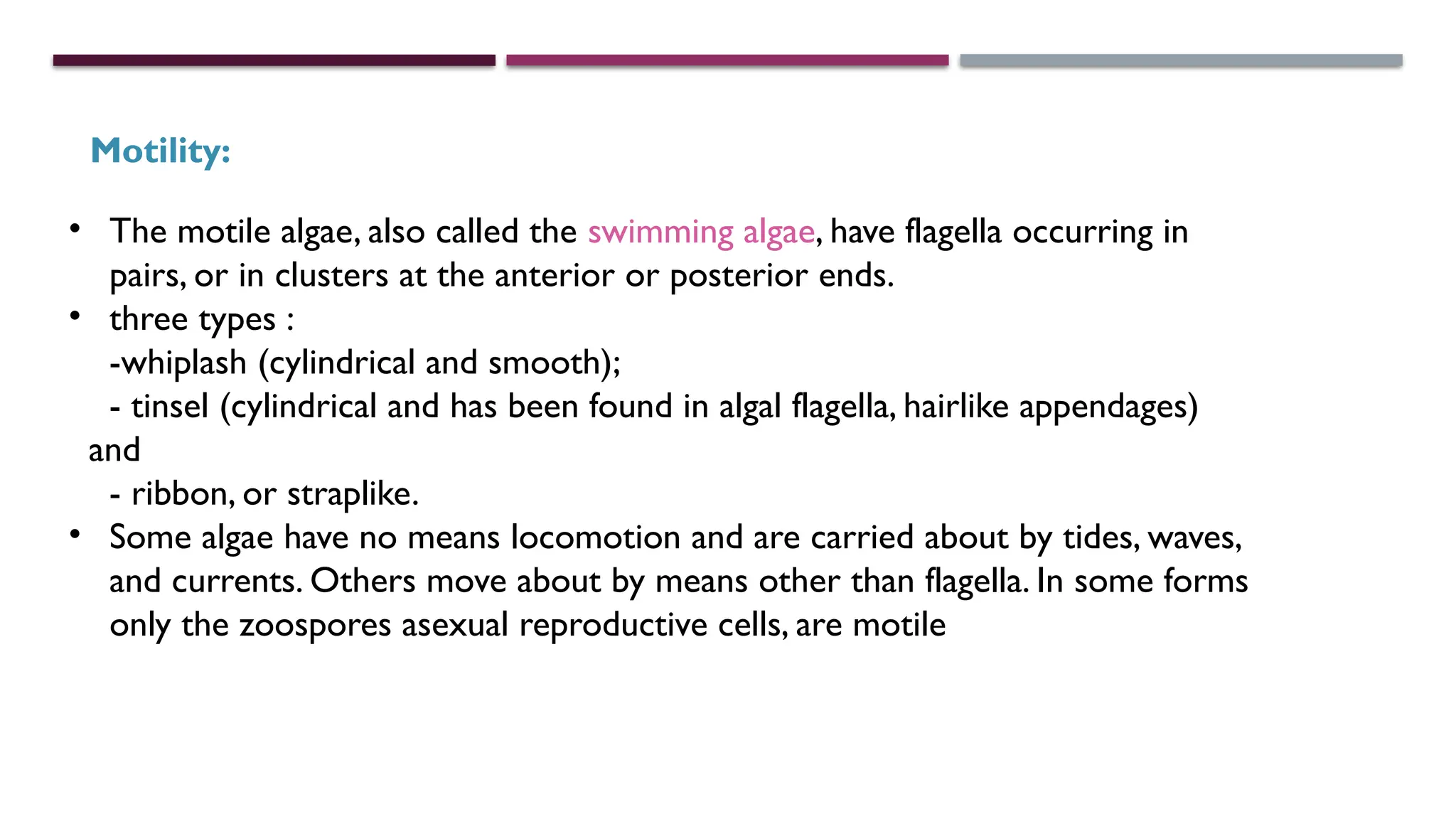 Morphology structure and function of algae.pptx