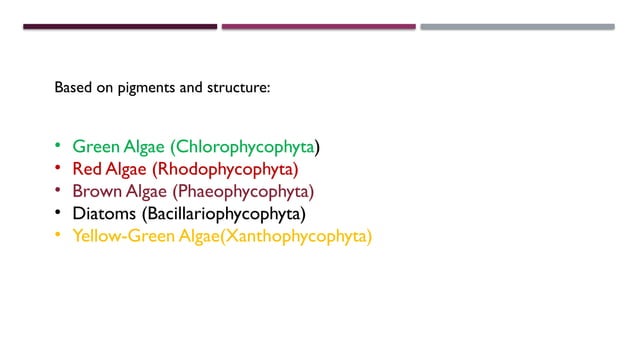 Morphology structure and function of algae.pptx
