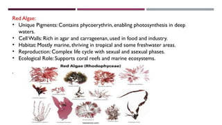 Morphology structure and function of algae.pptx
