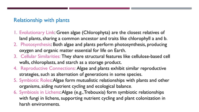 Morphology structure and function of algae.pptx