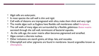 Morphology structure and function of algae.pptx