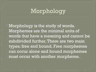 Morphology syntax english education.pptx