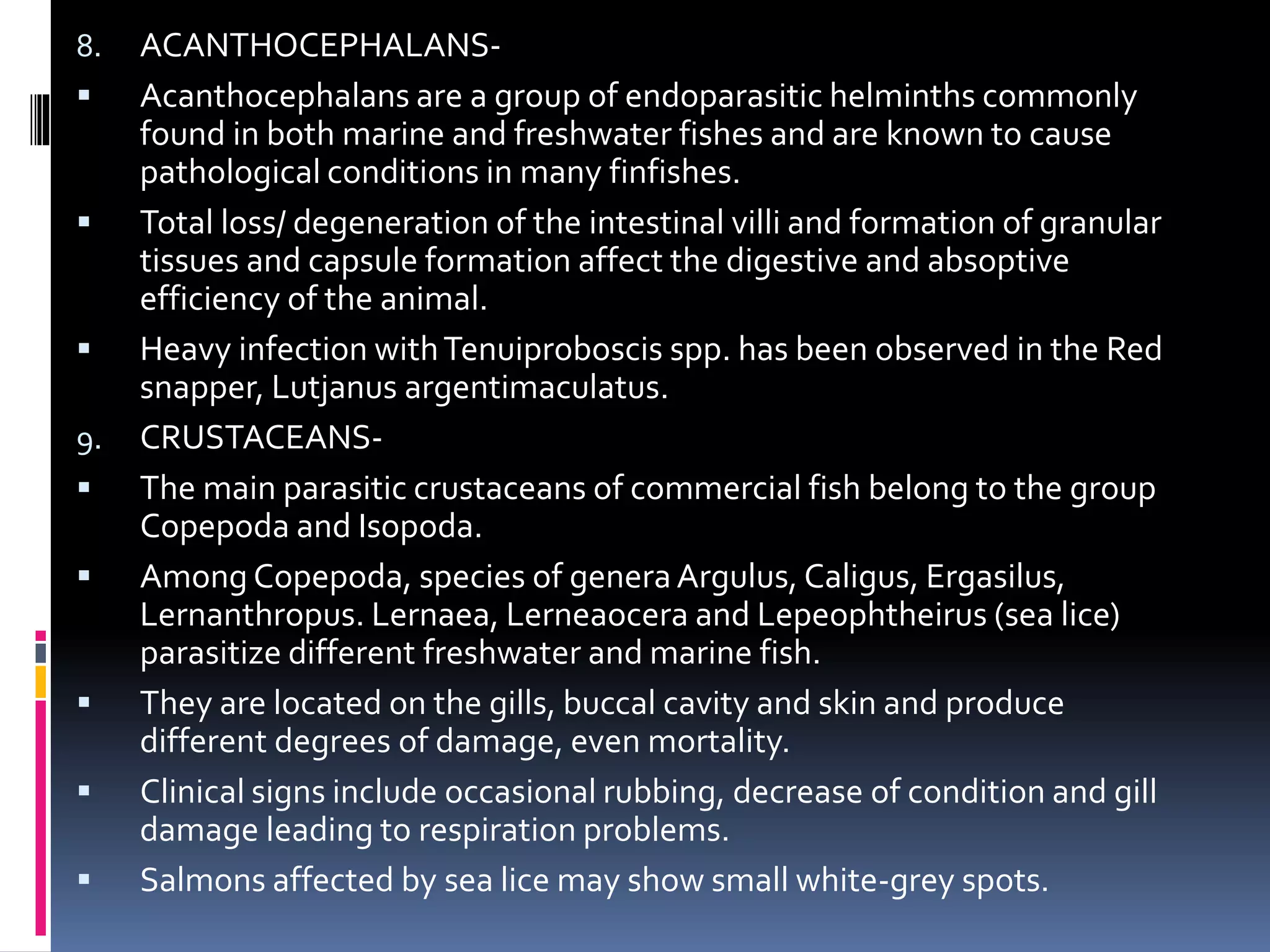 Morphology, taxonomy and life cycle of parasites | PPTX