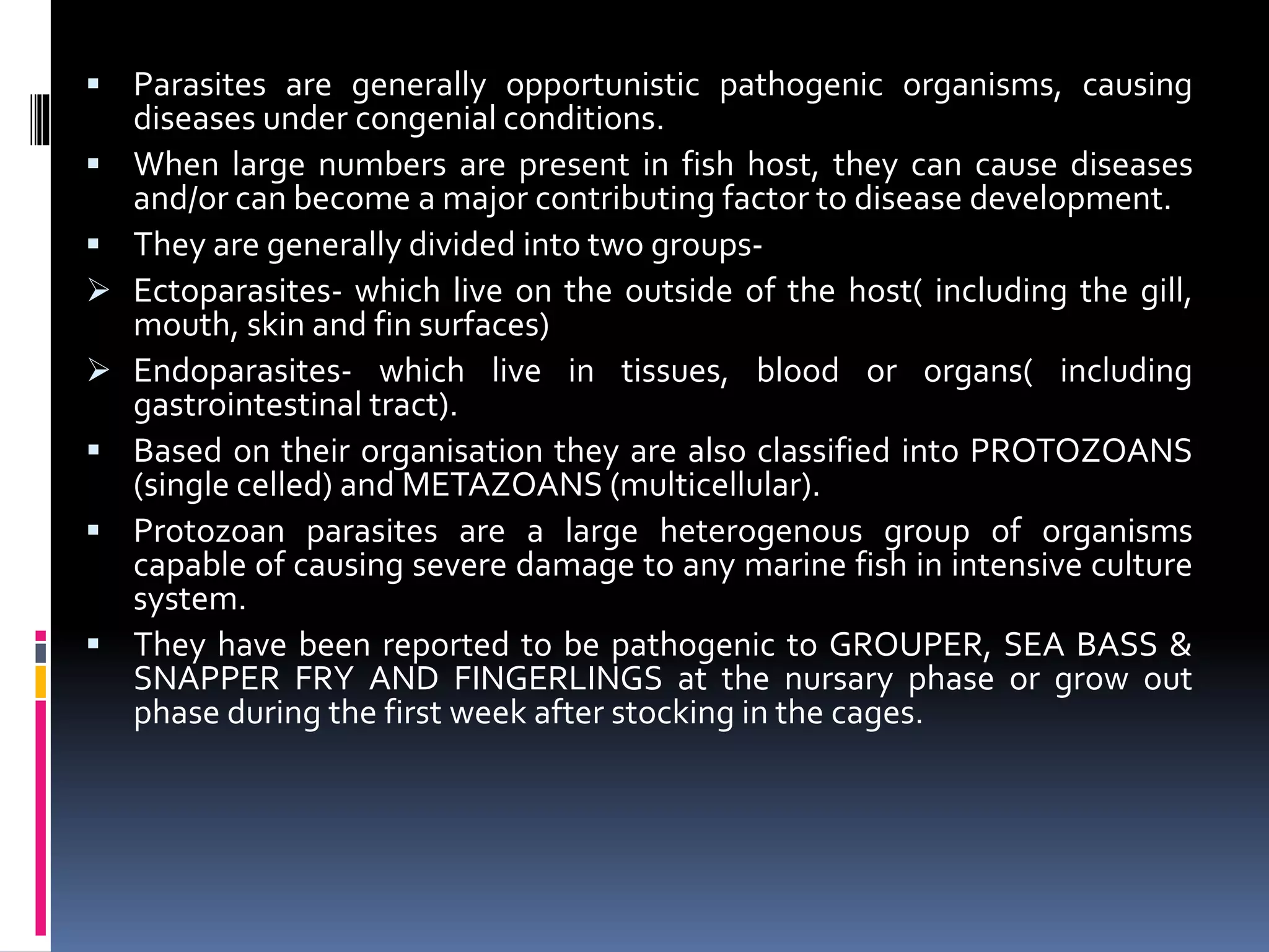 Morphology, taxonomy and life cycle of parasites | PPTX