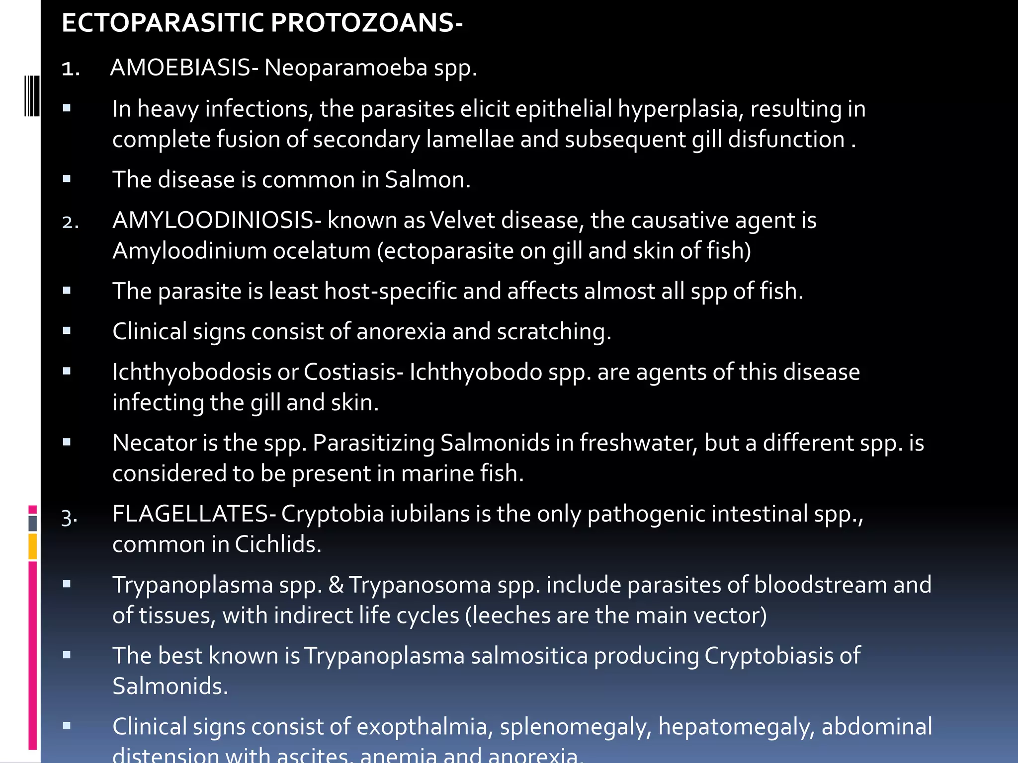 Morphology, taxonomy and life cycle of parasites | PPTX