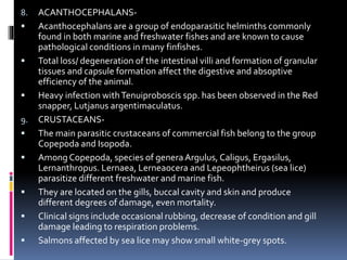 Morphology, taxonomy and life cycle of parasites | PPTX
