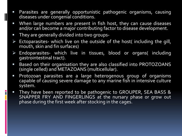 Morphology, taxonomy and life cycle of parasites | PPTX | Biological ...