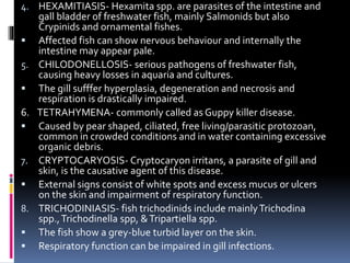 Morphology, taxonomy and life cycle of parasites | PPTX