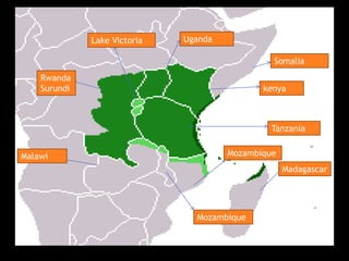 Morphology tutorial swahilli | PPT