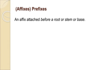 Morphology Tyoes of Morphmes_115149.ppt | Geology | Science
