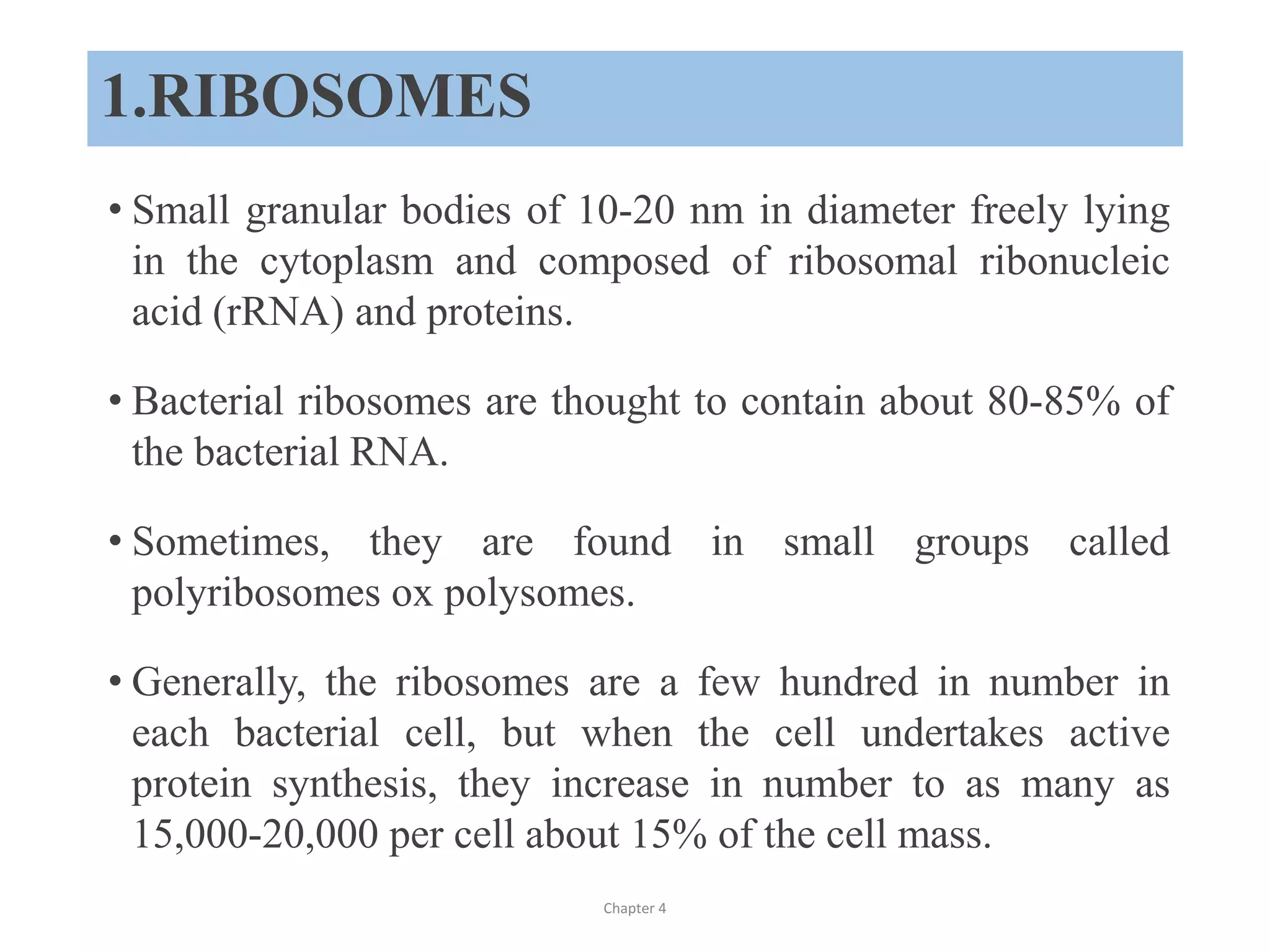 Morphology & Ultrastructure of Bacteria | PPT