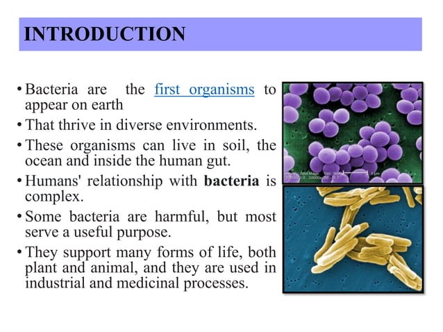 Morphology & Ultrastructure of Bacteria | PPT | Chemistry | Science