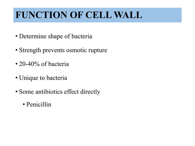 Morphology & Ultrastructure of Bacteria | PPT | Chemistry | Science