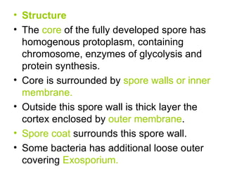 Morphologyy | PPT | Chemistry | Science