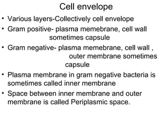 Morphologyy | PPT | Chemistry | Science
