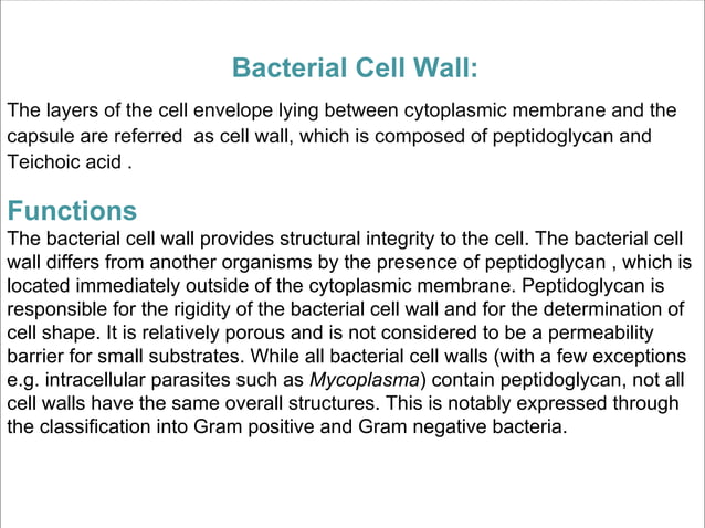 cell wall of bacteria | PPT | Chemistry | Science