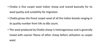 Morphometric characteristics and a little about performance –barbari ...