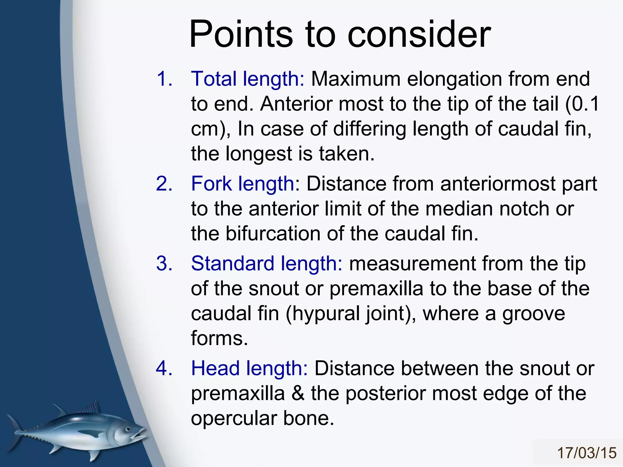 Morphometric measurement of fishes | PPT