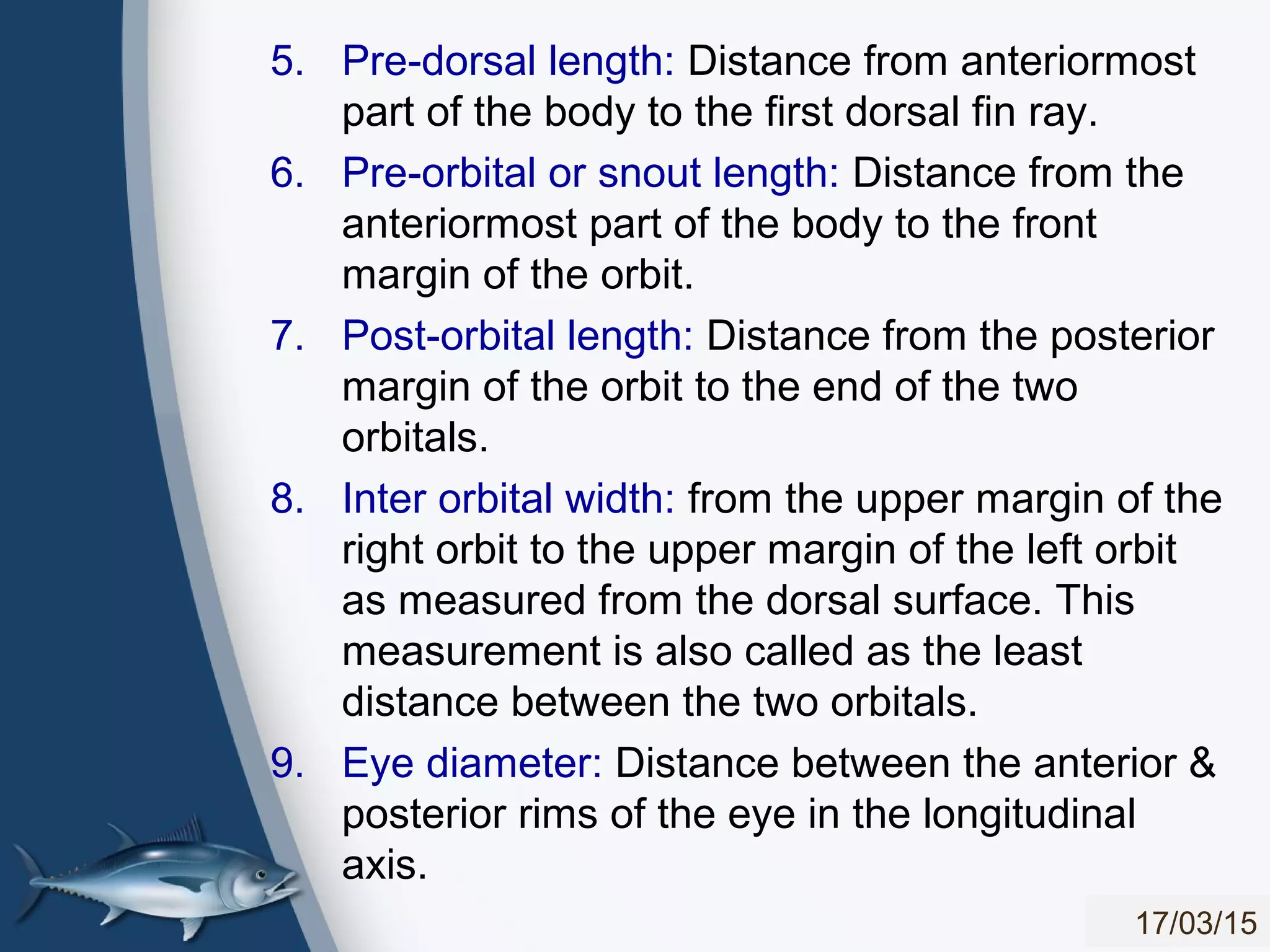 Morphometric measurement of fishes | PPT