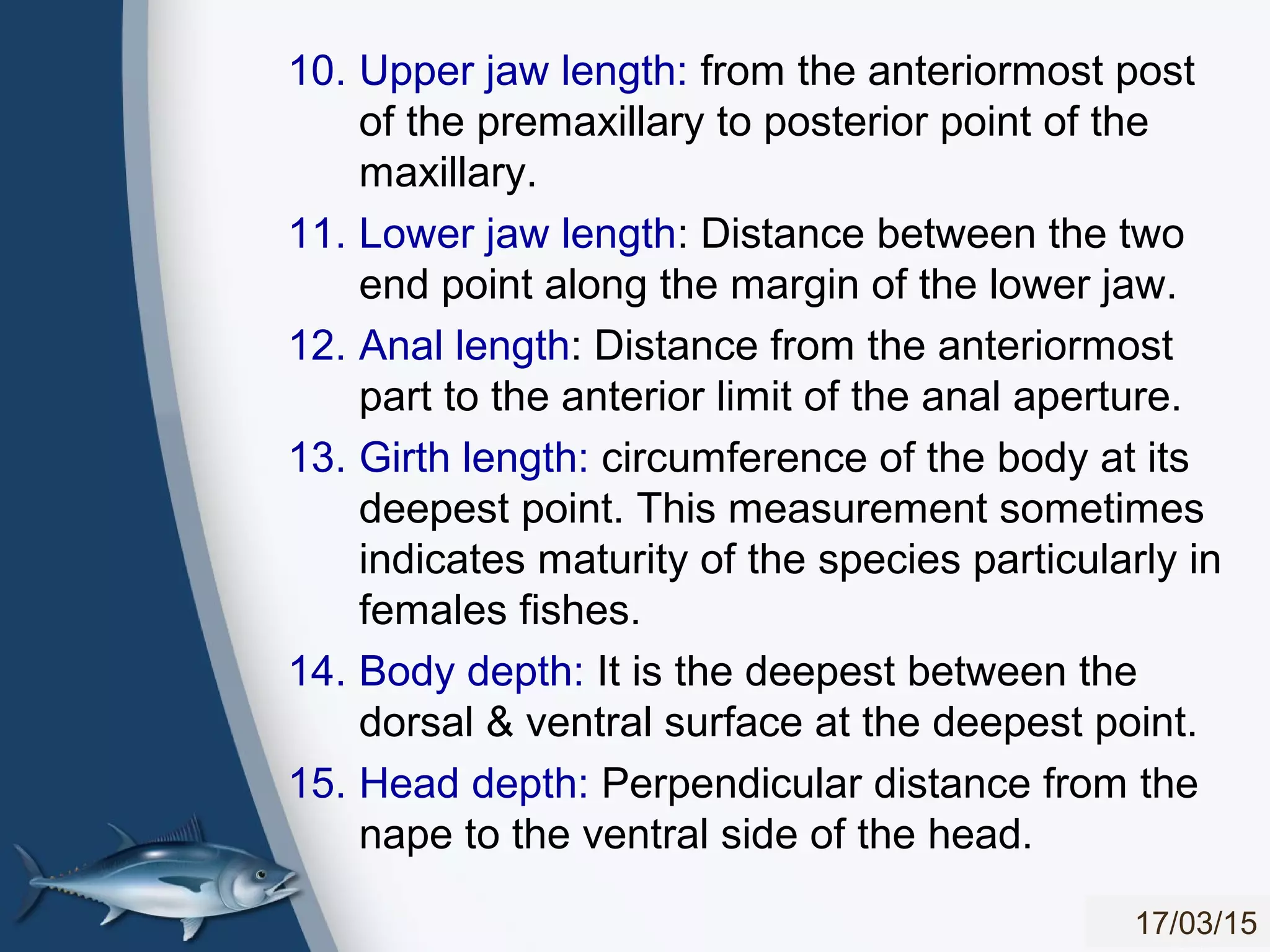 Morphometric measurement of fishes | PPT