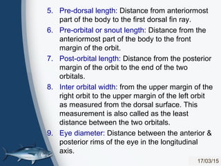 Morphometric measurement of fishes | PPT