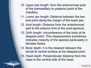 Morphometric measurement of fishes | PPT