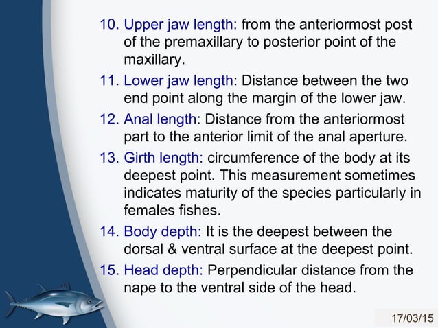 Morphometric measurement of fishes | PPT