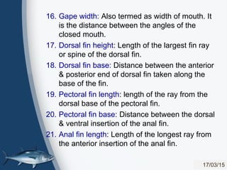 Morphometric measurement of fishes | PPT