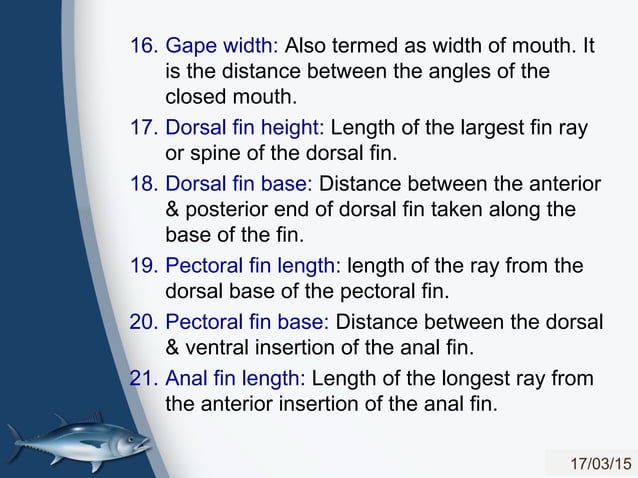 Morphometric measurement of fishes | PPT