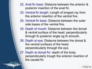 Morphometric measurement of fishes | PPT