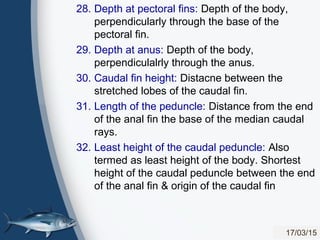 Morphometric measurement of fishes | PPT