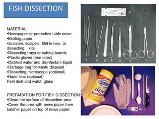 Morphometric measurements,condition indexing and dissection of fish | PDF
