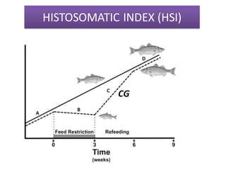 Morphometric measurements,condition indexing and dissection of fish | PDF