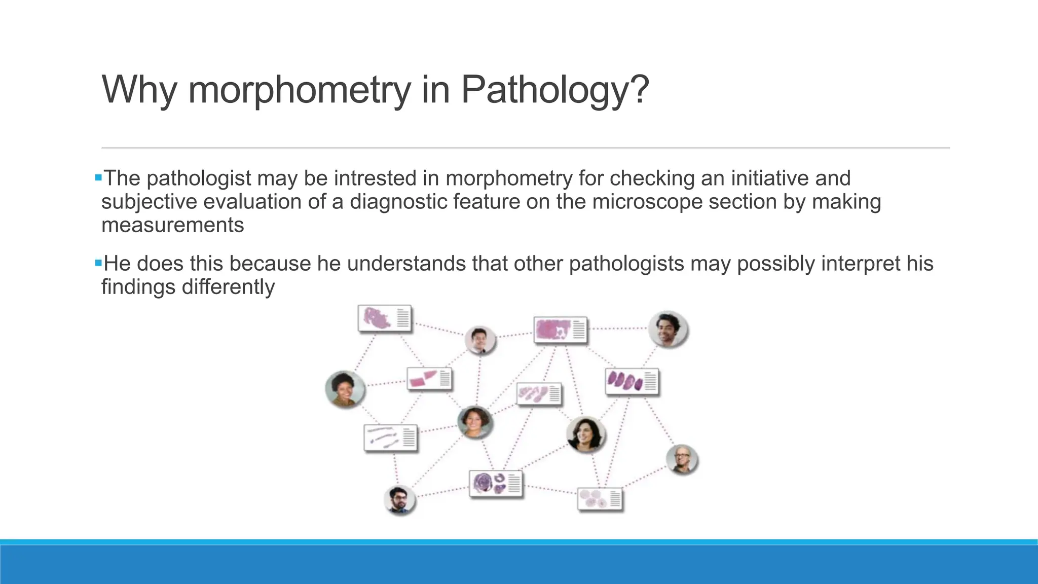 morphometry.pptx