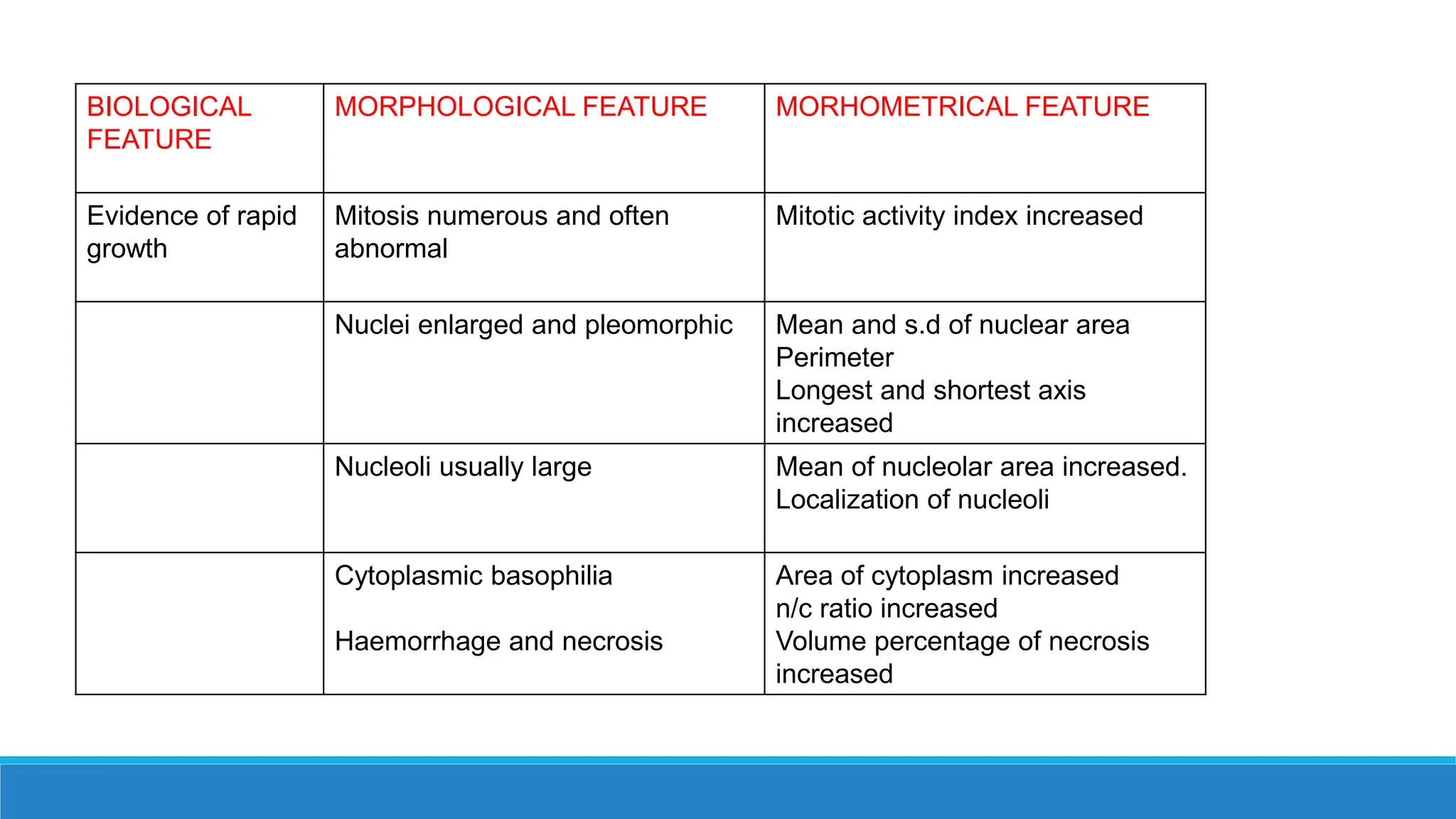 morphometry.pptx