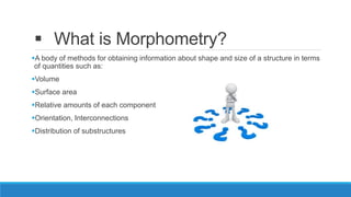 morphometry.pptx