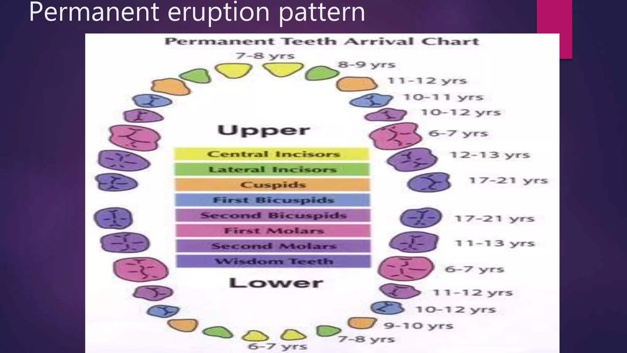 Tooth Morphology | PPTX