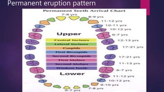 Tooth Morphology | PPTX