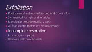 Tooth Morphology | PPTX