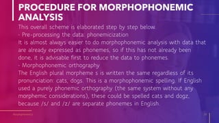 Morphophonemic changes | PPTX